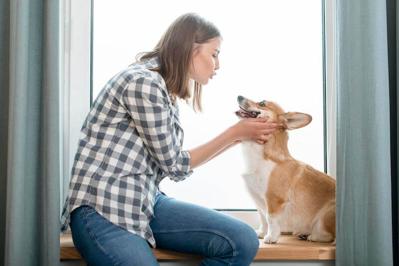 Démodécie du chien : un traitement NATUREL vraiment efficace - Belgique